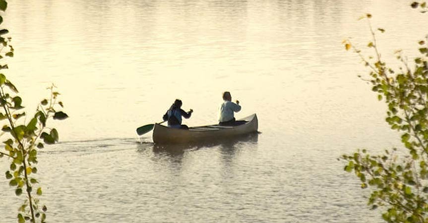 5 Hauptstrategien für Gesundheit im Alter - wellbee